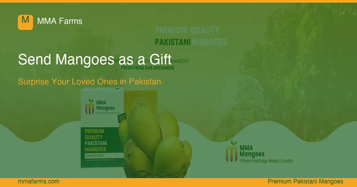 Send Mangoes to Pakistan from Kuwait (2026)