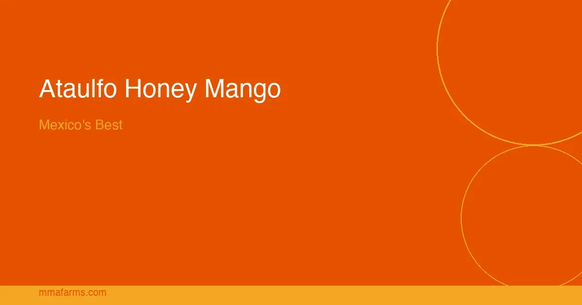 Ataulfo (Honey Mango): Full Profile — Origin, Taste, Season